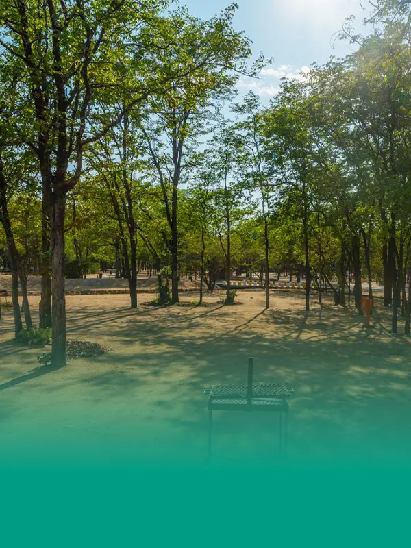 Accommodation | ATKV Eiland Spa